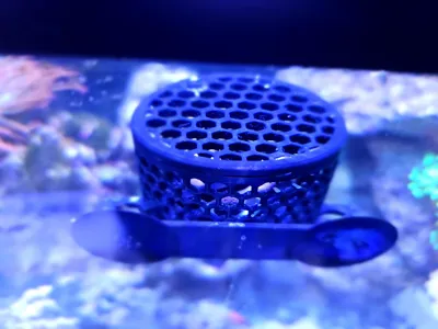 Coral Frag Mushroom Cage by richiev MakerWorld: Download Free 3D Models