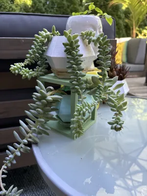 Modular Plant Stand by TurtleTech Creations MakerWorld: Download Free ...