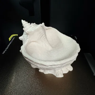 Coastal Conch Shell Catch All Bowl - Free 3D Print Model - MakerWorld