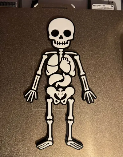 Human Body Jigsaw Puzzle for kids - Free 3D Print Model - MakerWorld