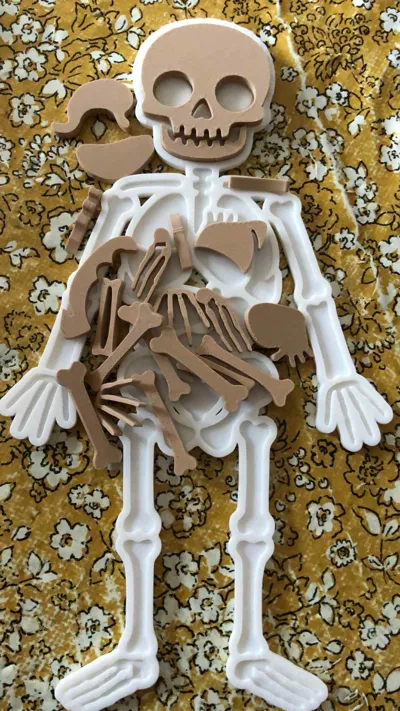 Human Body Jigsaw Puzzle for kids - Free 3D Print Model - MakerWorld