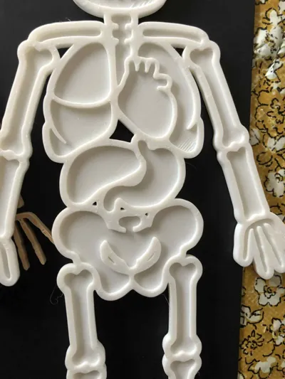 Human Body Jigsaw Puzzle for kids - Free 3D Print Model - MakerWorld