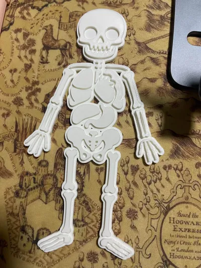 Human Body Jigsaw Puzzle for kids - Free 3D Print Model - MakerWorld