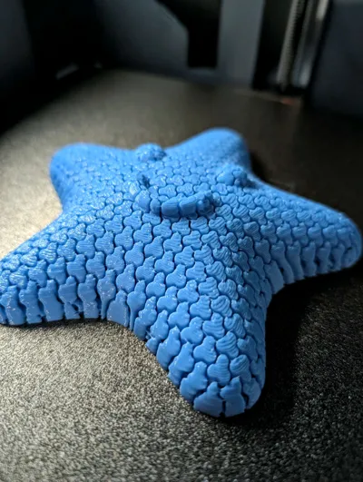 Fidget Starfish - Free 3D Print Model - MakerWorld