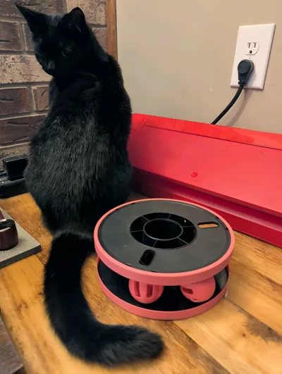Spool Cat Toys SUNLU BAMBU GEETECH 3DHOJOR + MORE - Free 3D Print Model ...