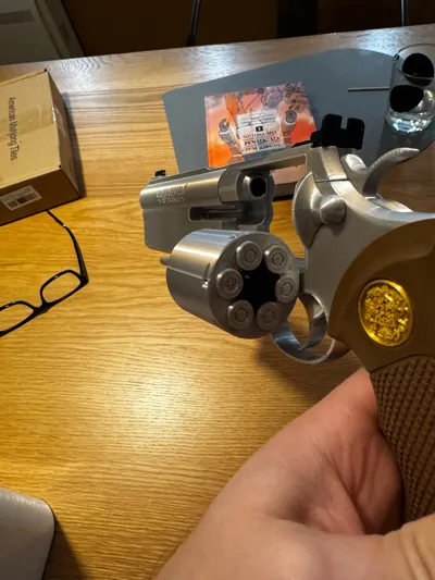 Resident Evil – Silver Serpent Barry's Magnum - Free 3D Print Model ...