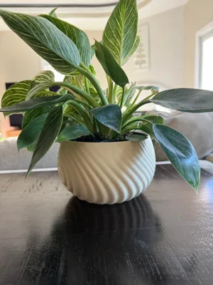 Stillwater Planters x4 with Self-Watering Inserts - Free 3D Print Model ...