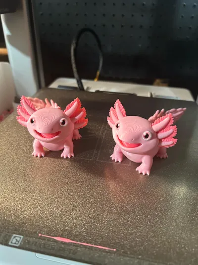 Axolotl Mexicain - Modèle d'Impression 3D Gratuit - MakerWorld