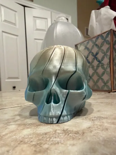Branded Skull Twist Fidget - Free 3D Print Model - MakerWorld
