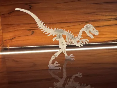 Velociraptor Kit Card by Turbospeed MakerWorld: Download Free 3D Models