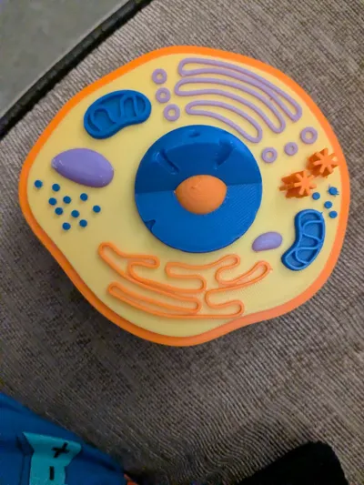 Animal Cell - Free 3D Print Model - MakerWorld