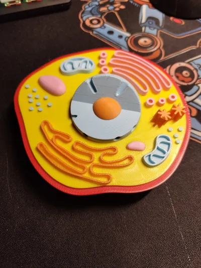 Animal Cell - Free 3D Print Model - MakerWorld