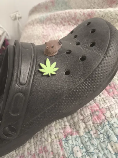 Capybara Jibbitz Remixed by LEV 3DD MakerWorld: Download Free 3D Models