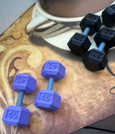 Mini Dumbbell 45LB, Miniature, Magnet, Keychain by Muunk Studio ...