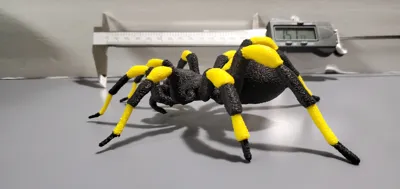 Tarantula spider by beamr39 MakerWorld: Download Free 3D Models