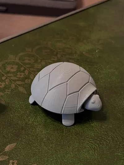 Squishy Turtle by jakejake Shared by TmnRsmn MakerWorld: Download Free ...