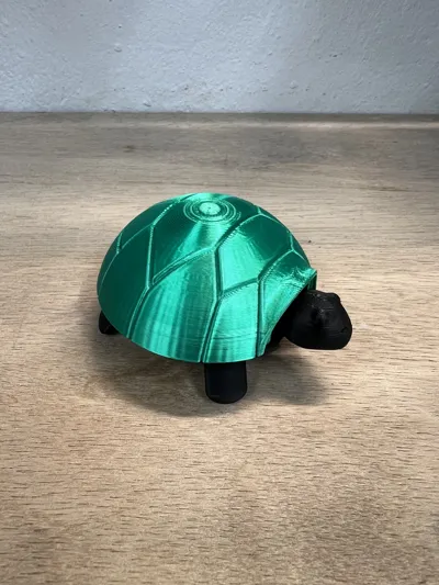 Squishy Turtle by jakejake Shared by TmnRsmn - MakerWorld