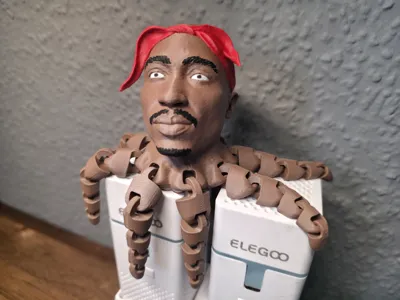 Tupac-topus - v2.0 - Free 3D Print Model - MakerWorld