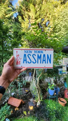 Assman licence plate from Seinfeld by noriwl - MakerWorld