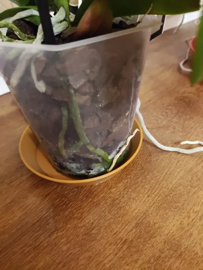 Fantomas | Published - MakerWorld