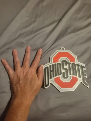 OHIO STATE 3D Logo 180mm series by mercadogarzas MakerWorld: Download ...