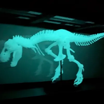 T-Rex Remixed by KenPrint3D MakerWorld: Download Free 3D Models