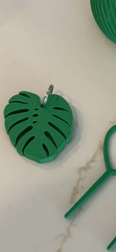 Monstera Leaf Keychain by Megantron - MakerWorld