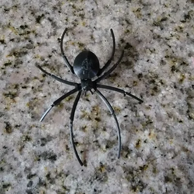 Adjustable leg spider "black widow" by Rickyspanish - MakerWorld