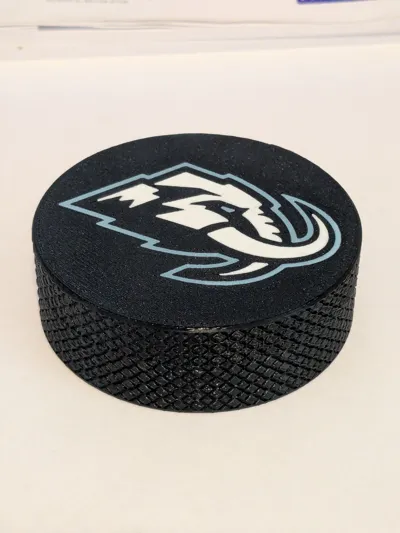 hockey puck - Free 3D Print Model - MakerWorld