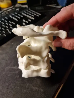 Spine Pen Holder by Pirate_The_Captain - MakerWorld