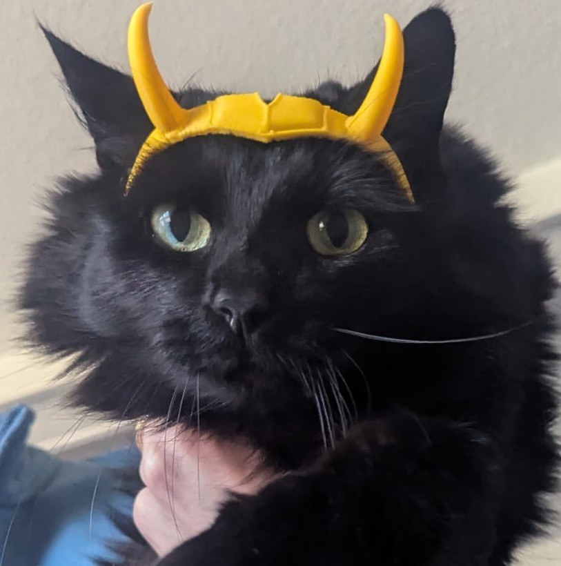 wacqueza | Published - MakerWorld