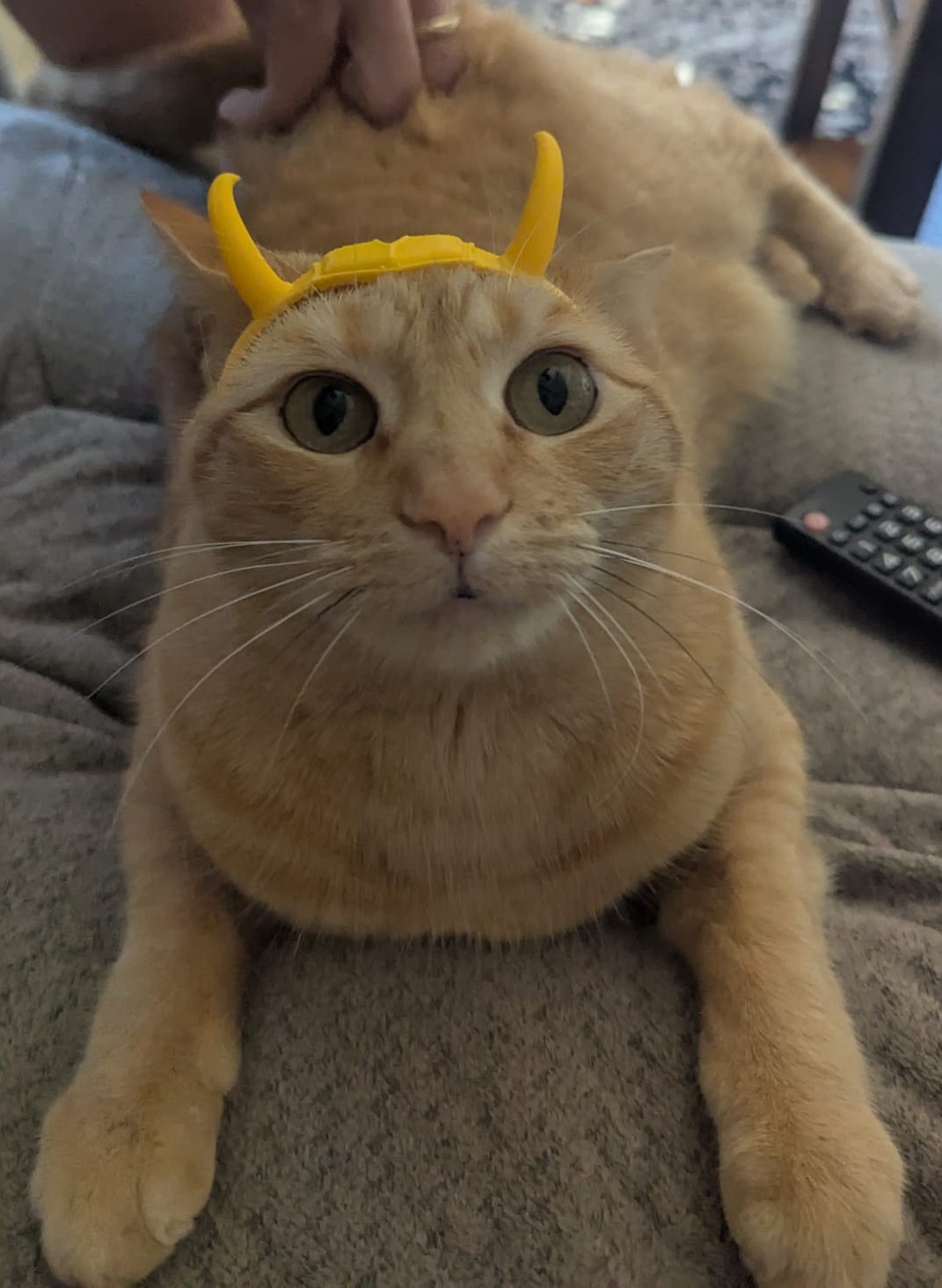 wacqueza | Published - MakerWorld