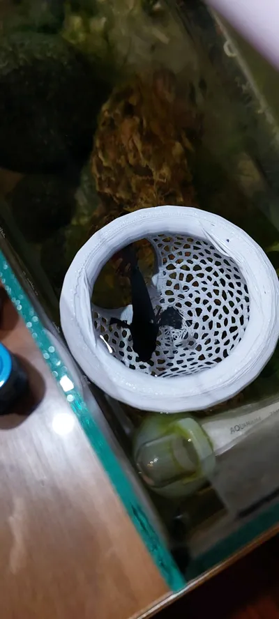 Floating Aquarium Hide by kit-kat MakerWorld: Download Free 3D Models