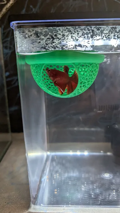 Floating Aquarium Hide by kit-kat MakerWorld: Download Free 3D Models