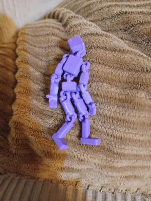 ragdoll bot Remixed by 3d print lover - MakerWorld