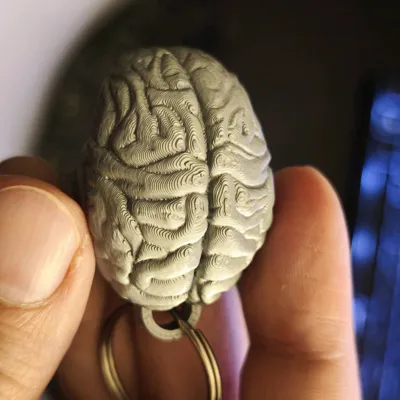 BRAIN KEYCHAIN by GhostChili3DMakerWorld: Download Free 3D Models