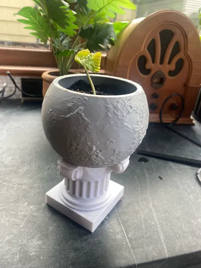 moon_plant_pot by MingGY MakerWorld: Download Free 3D Models