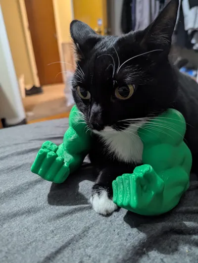 Hulk arms on cat Remixed by Dino J MakerWorld: Download Free 3D Models