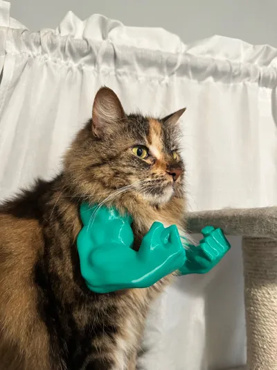 Hulk arms on cat Remixed by Dino J MakerWorld: Download Free 3D Models