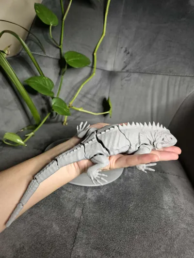 lizard by MingGY - MakerWorld