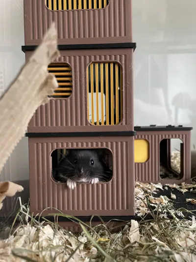 Modular Outpost Terrain by TerTerro MakerWorld: Download Free 3D Models