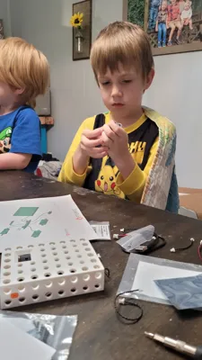 STEMFIE Bambu Lab DIY Electronics Demo by Stemfie3D MakerWorld: Download Free 3D Models