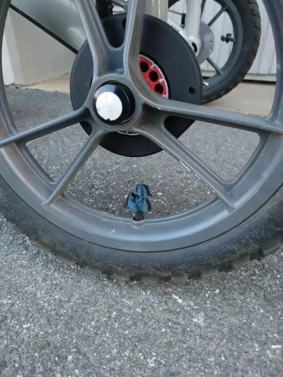 Duck Valve Stem Covers - Free 3D Print Model - MakerWorld