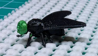 The Fly by Creatività in 3D MakerWorld: Download Free 3D Models