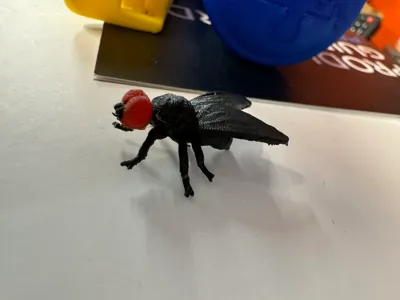 The Fly by Creatività in 3D MakerWorld: Download Free 3D Models