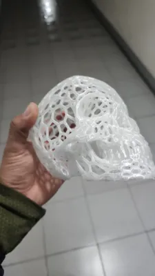 Skull lamps - Voronoi Style Remixed by mingshiuan99 MakerWorld ...