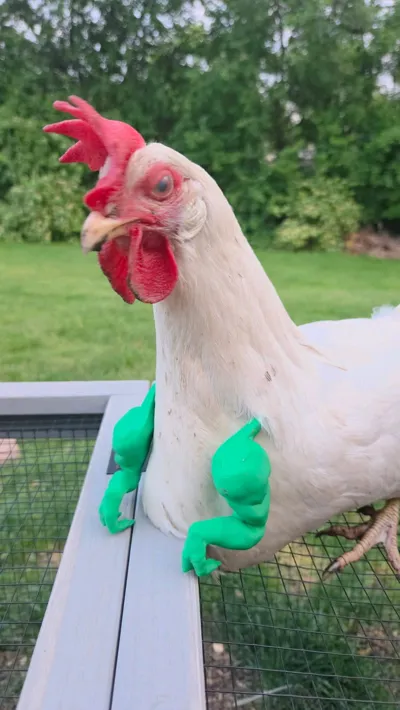 T-Rex Chicken Arms by Starklord MakerWorld: Download Free 3D Models