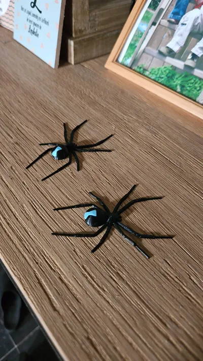 Dual Color Spider Remixed by agepbiz MakerWorld: Download Free 3D Models