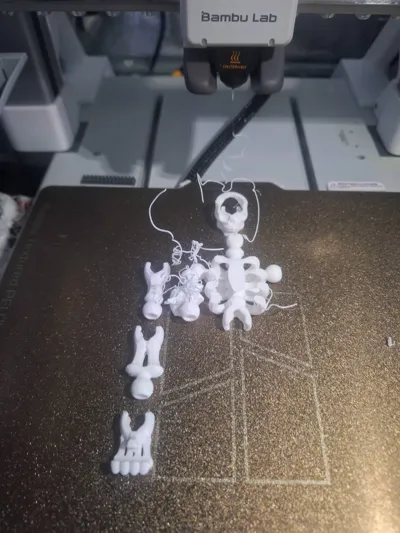 Skeleton Kit Card-Tinkercad - Free 3D Print Model - MakerWorld