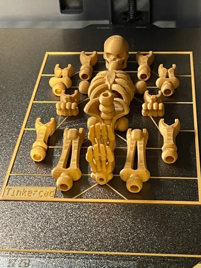 Skeleton Kit Card-Tinkercad Remixed by High Desert 3D MakerWorld ...